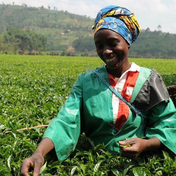 Scaling up Responsible Digital Payments in the Rwandan Tea Sector ...